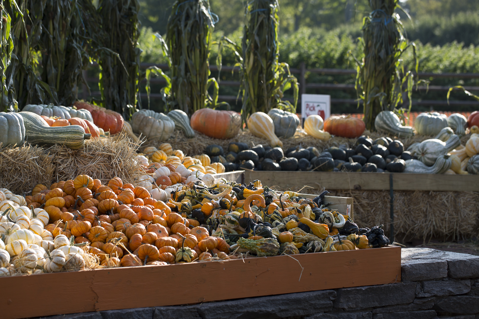 Silverman’s Country Market – Silvermans Farm