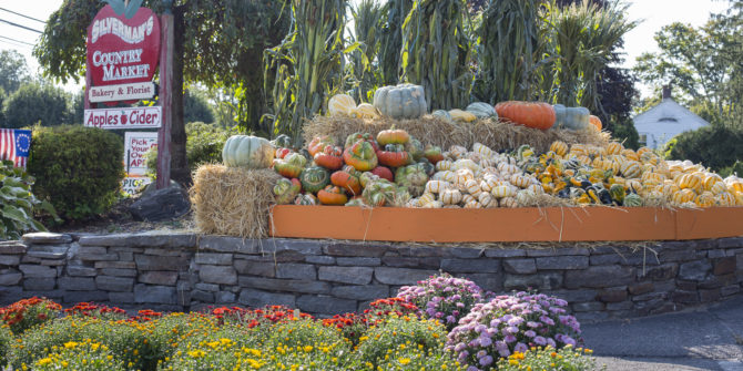 Silverman’s Country Market – Silvermans Farm