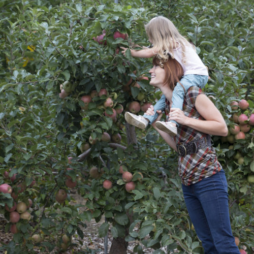 Pick Your Own – Silvermans Farm